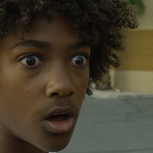 The System - Rotten Tomatoes