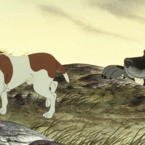 The Plague Dogs - Rotten Tomatoes