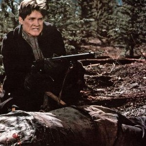 Andrew Stevens - Rotten Tomatoes