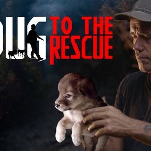 Doug to the Rescue: Season 1, Episode 6 - Rotten Tomatoes