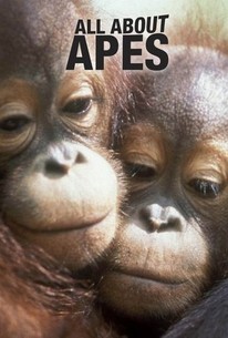 All About Apes | Rotten Tomatoes