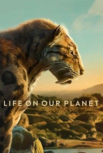 Life on Our Planet: Season 1, Episode 2 | Rotten Tomatoes