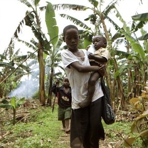 Food Evolution - Rotten Tomatoes