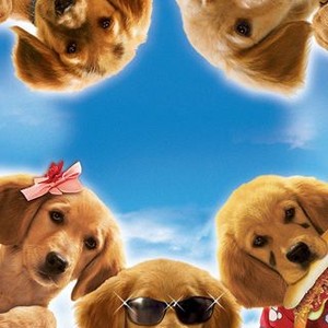 Air Buddies - Rotten Tomatoes