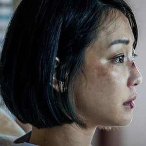 Gatao - The Last Stray - Rotten Tomatoes