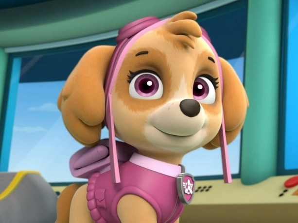Paw Patrol Pups Save Alex