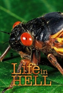 Life in Hell | Rotten Tomatoes