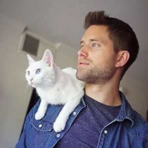 Cat Daddies - Rotten Tomatoes