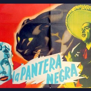 La pantera negra - Rotten Tomatoes