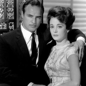 Sandra Church - Rotten Tomatoes