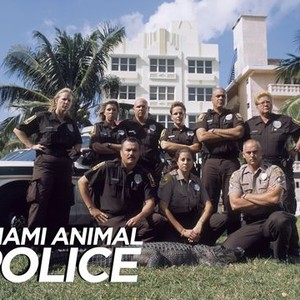 Miami Animal Police: Season 1, Episode 10 - Rotten Tomatoes