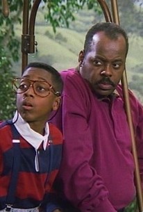 Family Matters: Season 2, Episode 17 | Rotten Tomatoes