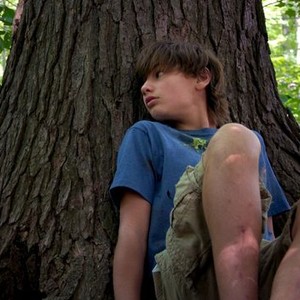 The Cold Lands - Rotten Tomatoes