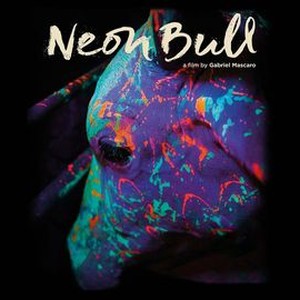 Neon Bull - Rotten Tomatoes