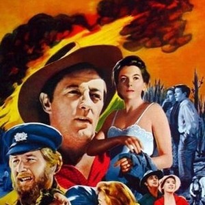 The Sundowners - Rotten Tomatoes