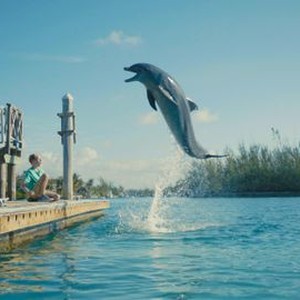 Dolphin Kick - Rotten Tomatoes
