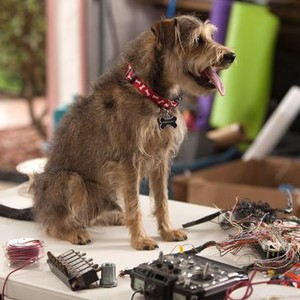 Robo-Dog - Rotten Tomatoes