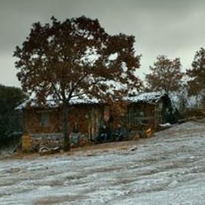 The Wild Pear Tree - Rotten Tomatoes