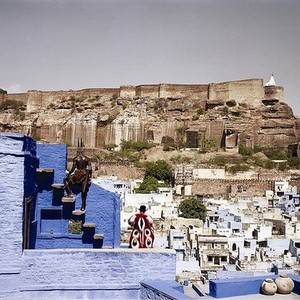 The Fall - Rotten Tomatoes