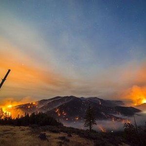 Elemental: Reimagine Wildfire - Rotten Tomatoes