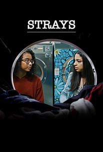 Strays (2018) | Rotten Tomatoes