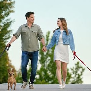 The More Love Grows - Rotten Tomatoes