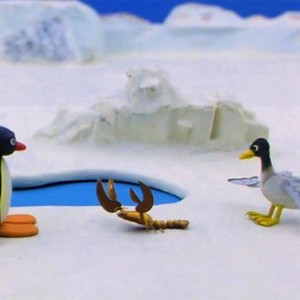 Pingu: Season 2, Episode 3 - Rotten Tomatoes