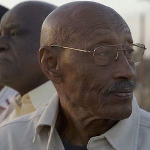 Talking About Trees - Rotten Tomatoes