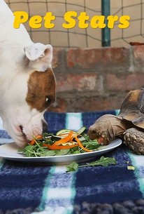 Pet Stars: Season 1 | Rotten Tomatoes