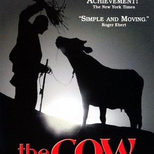 The Cow - Rotten Tomatoes