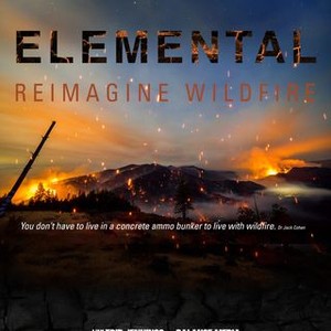 Elemental: Reimagine Wildfire - Rotten Tomatoes