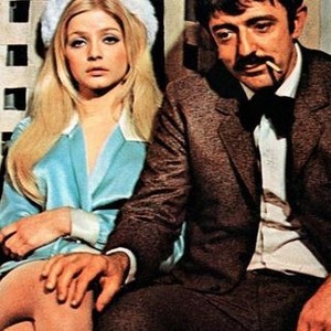 Candy - Rotten Tomatoes