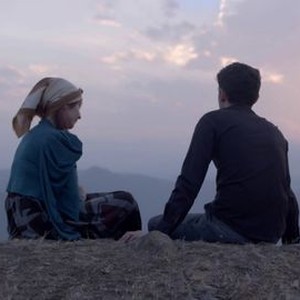 Sholler's Archive - Rotten Tomatoes