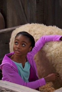 Bunk'd: Season 2, Episode 3 - Rotten Tomatoes