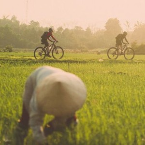 Blood Road - Rotten Tomatoes