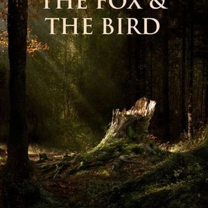 The Fox and the Bird - Rotten Tomatoes