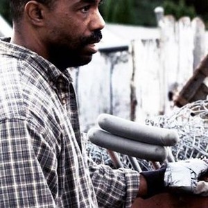 Scrapper - Rotten Tomatoes