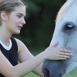 Urban Country - Rotten Tomatoes