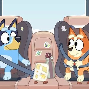 Bluey: Season 2, Episode 21 - Rotten Tomatoes