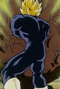 Dragon Ball Z: Season 8, Episode 232 | Rotten Tomatoes