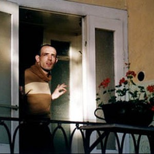 Divided We Fall - Rotten Tomatoes