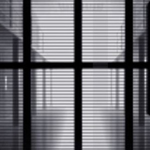 First Week In - Rotten Tomatoes