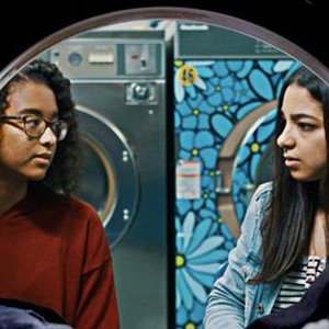 Strays - Rotten Tomatoes