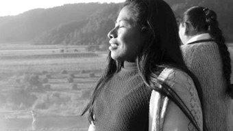 Roma - Rotten Tomatoes