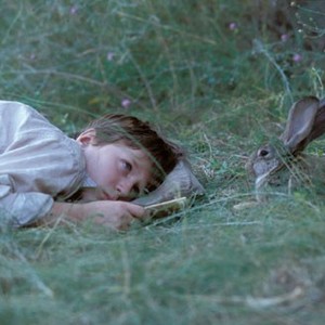 I Am David - Rotten Tomatoes