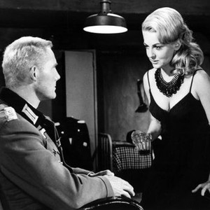 Barbara Werle - Rotten Tomatoes