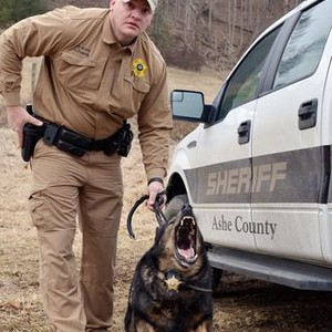 Southern Justice - Rotten Tomatoes