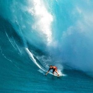 Take Every Wave: The Life of Laird Hamilton - Rotten Tomatoes