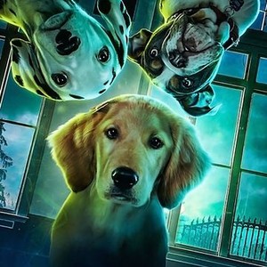 Phantom Pups - Rotten Tomatoes