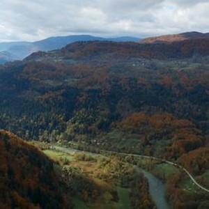 The Wire - Rotten Tomatoes